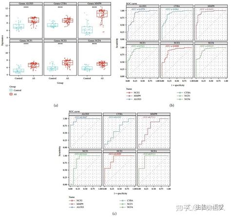 最新7 3分非肿瘤生信，热点基因集 免疫浸润 Wgcna 调控网络 单细胞 实验验证，值得收藏！ 知乎