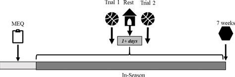 Testing Procedure Timeline Overview Download Scientific Diagram