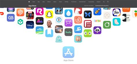 Leeta Id Photo Passport Photo Create Quality Visa Photos Effortlessly