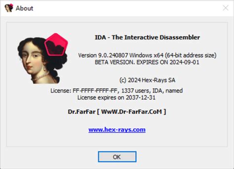 Hex Rays Ida Professional V90240807 Full Activated Reverse