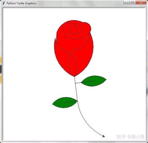 几分钟教会你用编程绘制玫瑰花 知乎 几分钟教会你用编程绘制玫瑰花 知乎