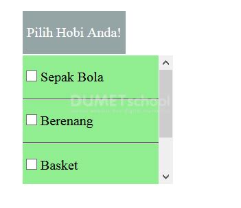 Cara Membuat Dropdown Checkbox Dengan HTML CSS Kursus Web Design Private Online On