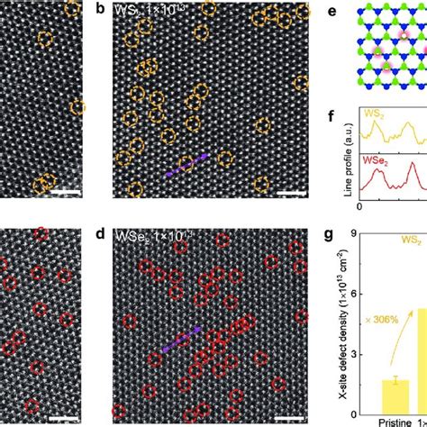 Defect Density Analysis Of Proton Beam Irradiated Ws 2 And Wse 2