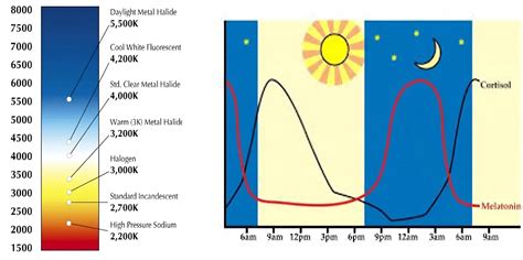 Reduce Lighting Pollution With Street Light Design A Complete