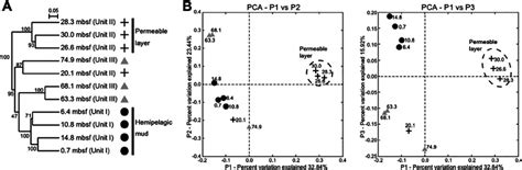 Jackknife Environment Cluster Analysis A And Pca B In The Unifrac