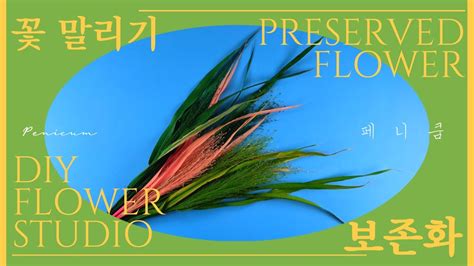 Preserved Flower 보존화 만들기 페니쿰 프리저브드 플라워 Youtube
