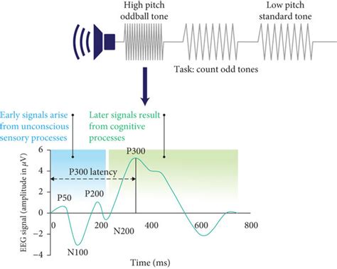 Schematic Of The Erp P300 In The Auditory Oddball Paradigm The Download Scientific Diagram