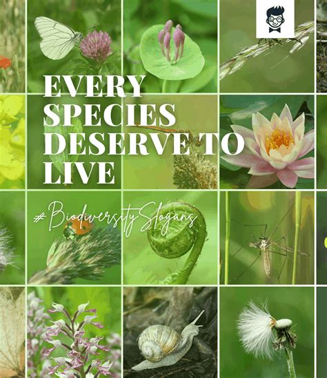 450 Amazing Biodiversity Slogans