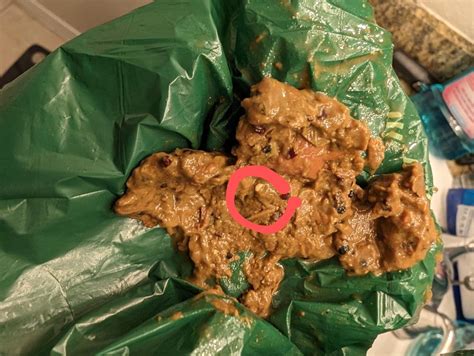 Is This A Tapeworm Egg R Tapewormgame