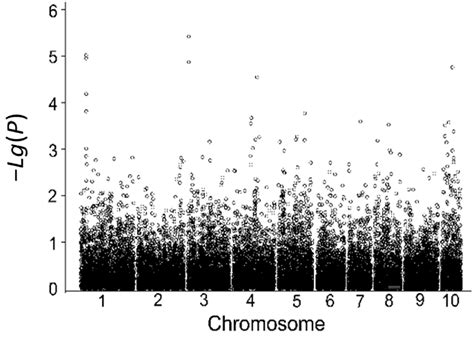 Figure 6 From Identification Of Multiple Genetic Loci Related To Low Temperature Tolerance