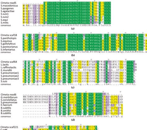 Multiple Sequence Alignment Of Identified Amps With Public Bacteriocins