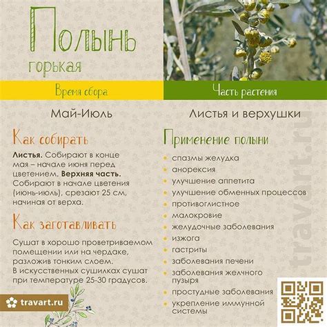 Полынь горькая | Healing herbs, Medical herbs, Herbal magic