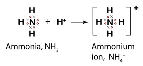 551 Dative Bond My