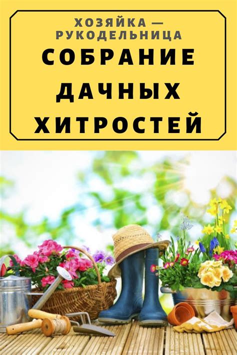 ПОЛНОЕ СОБРАНИЕ ДАЧНЫХ ХИТРОСТЕЙ ДЛЯ САДОВОДОВ И ОГОРОДНИКОВ — Хозяйка — Рукодельница
