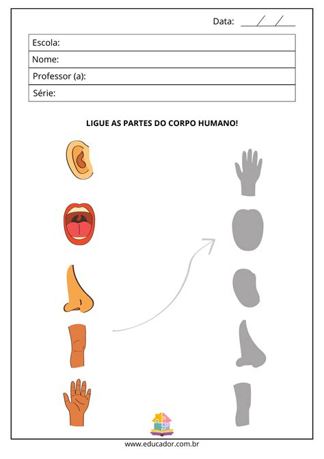 Atividades Sobre O Corpo Humano Para Anos Iniciais Educador