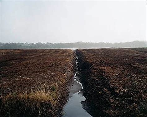 Stephen Vaughan — Photofusion