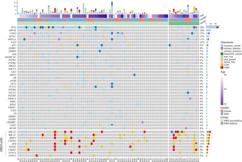 Profiling Of The Genetic Features Of Chinese Patients With Gastric Cancer With Hrd Germline
