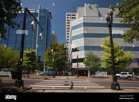Urban Street Scene With Modern Buildings Street Lamps Trees And A