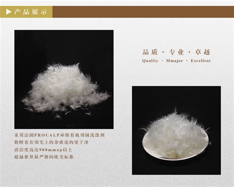 50白鸭绒是不是不暖和 50白鸭绒羽绒服能穿吗 50白鸭绒算羽绒服吗 大山谷图库