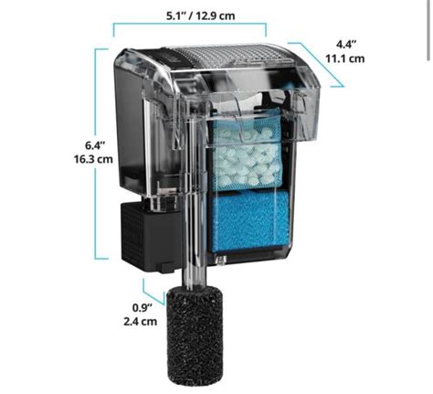 Peces Killis Cuidados Y Mantenimiento Del Pez Killi