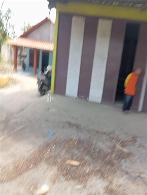 Jual Tanah Di Pati Butuh Uang Murah Tanpa Perantara Pemilik Langsung