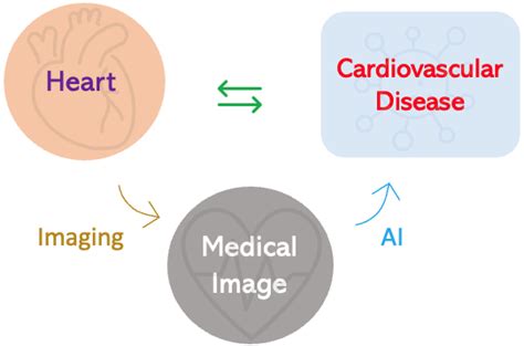 Inline Ai Open Source Deep Learning Inference For Cardiac Mr Ai