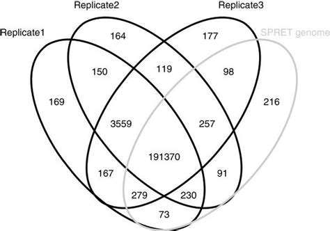 Number Of Snvs Detected By The Three Exome Sequencing Replicate Download Scientific Diagram