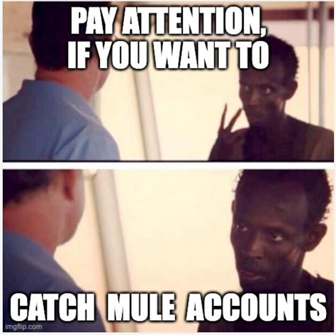 Detecting Mule Accounts Transaction Monitoring Or Behavioural Biometrics