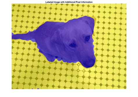 Python Image Segmentation Using K Means With Texture Analysis And Xy Coordinates Stack