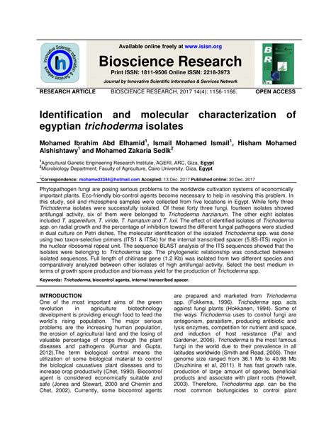 Pdf Identification And Molecular Characterization Of Egyptian Trichoderma Isolates