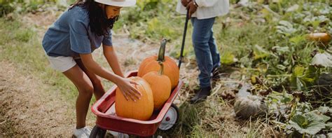 Ecosystem Of The Future Vidaafrolatina