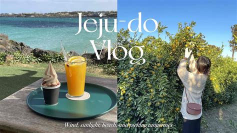 Eng 정갈 제주 여행🍊vlog Epi2 귤따기체험카페 덴드리 로컬갈치조림맛집 팔도식당 우도 우도카페 블랑쉐 서귀포올레시장 서귀포흑돼지고기맛집