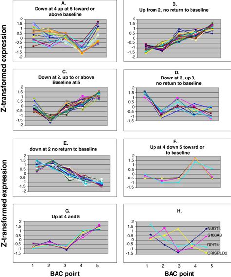 Expression Pattern Clustering Each Panel A H Shows The Expression