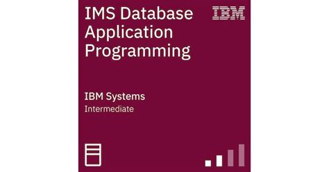 Ims Database Application Programming Was Issued By Ibm To Christopher Chris Parker