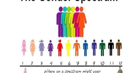 Conceptions Diff Rentes Du Rapport Sexe Genre Et Des Ut Rus Transplanter Le Club De