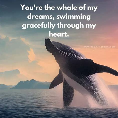 220 Best Whale Puns Quotes And Captions For Instagram