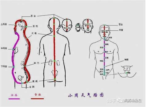 大小周天运行图及解释打通大周天最简单的方法 知乎