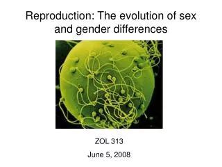 Ppt Evolution Of Sex Powerpoint Presentation Free Download Id
