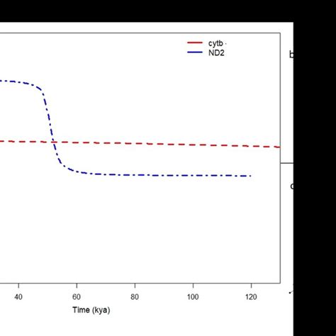 Comparison Of Two Dissimilar BSP Profiles Drawn From Different MtDNA Download Scientific