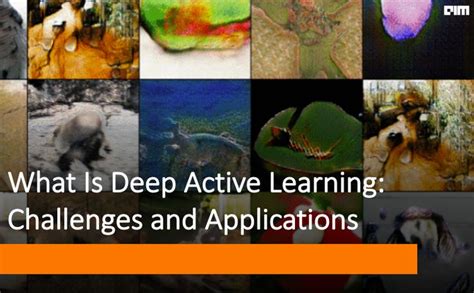 What Is Deep Active Learning Challenges And Applications Aim Learning Activities Learning