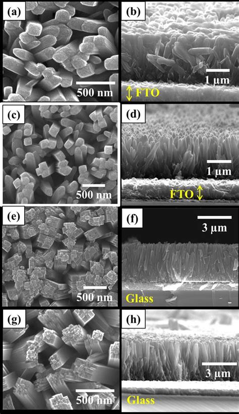 Fesem Images Top View And Corresponding Crosssectional View Of Tio2 Download Scientific Diagram