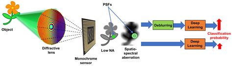Improved Classification Of Blurred Images With Deep Learning Networks