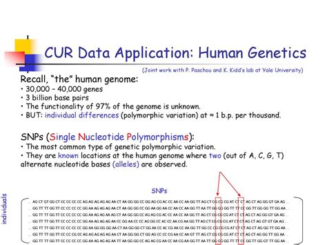 Cur Matrix Decompositions For Improved Data Analysis Ppt Download