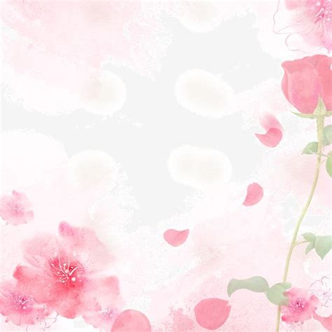 พื้นหลังดอกไม้สีชมพูสีชมพู