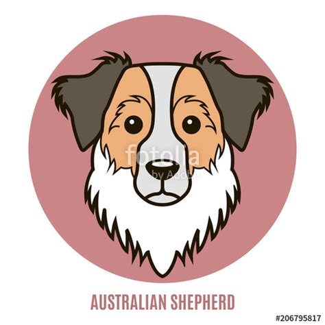 Australian Shepherd Vector At Getdrawings Free Download