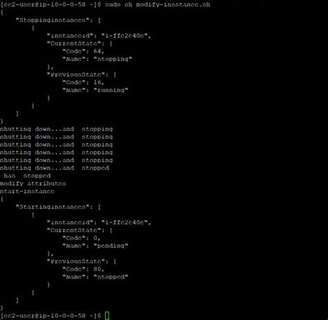 How To Resize An Ebs Backed Ec2 Instance N2w Software