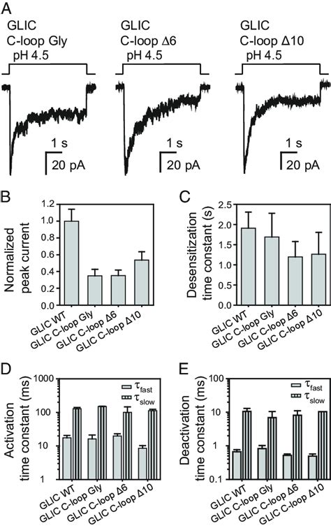 Mutations To The C Loop Have Only Mild Effects On Glic Function A