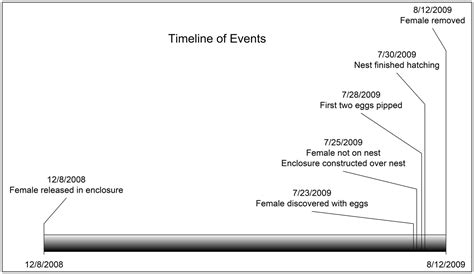 Incubation Temperature And Sex Ratio Of A Python Bivittatus Burmese Python Clutch Hatched In