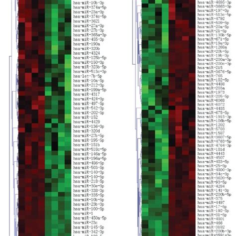 Heatmap Of Clustering Mirna Microarray Data With Columns Arranged