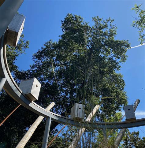 Structure Level 3 — Counterforcelab